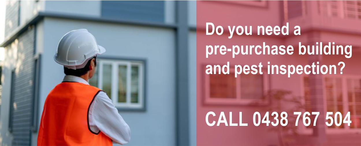 Pre Purchase Building inspections | Pest inspections Sydney